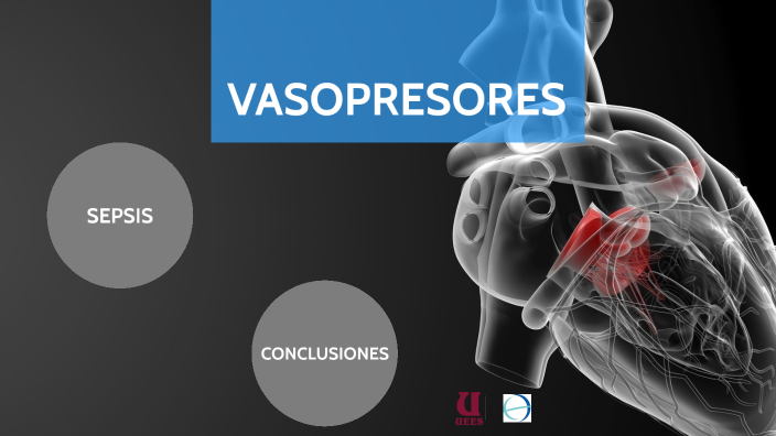 vasopresores en sepsis by Miguel Molina Idrovo on Prezi