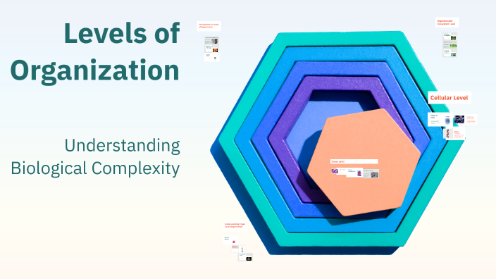 Levels of Organization by Nora Hanna [STUDENT] on Prezi