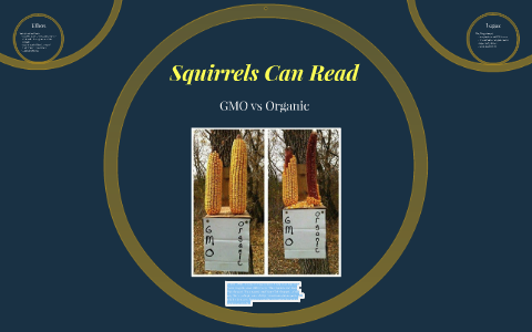 Squirrels Can Read by Meri Wacker on Prezi