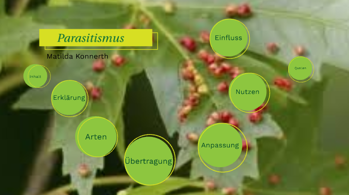 Parasitismus by lama kopeu on Prezi