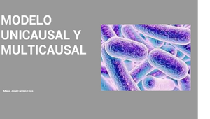modelo multicausal y unicausal by MARIA CARRILLO on Prezi Design