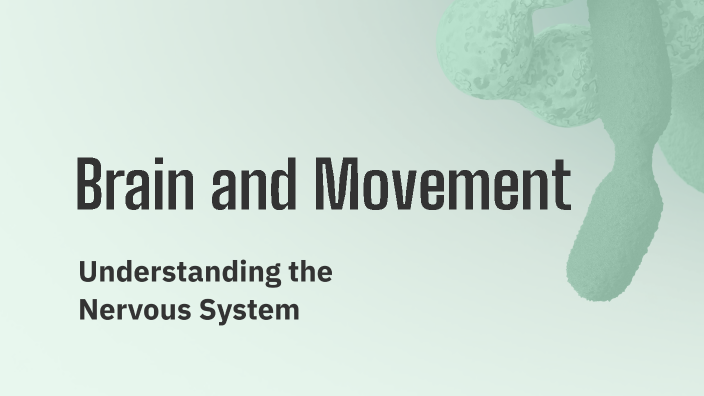 Brain and Movement by Gabriela Nuñez on Prezi