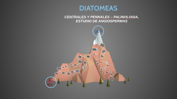 DIATOMEAS: CENTRALES Y PENNALES – PALINOLOGIA, ESTUDIO DE AN by carol ...