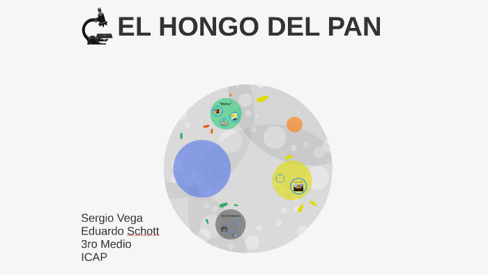 EL HONGO DEL PAN by Sergio Vega on Prezi