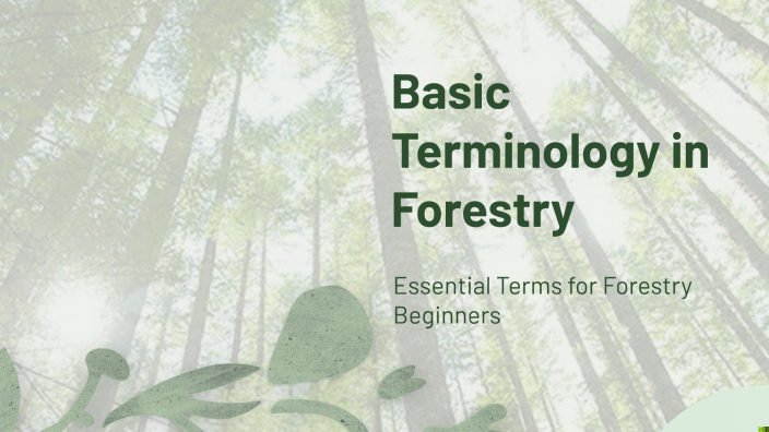 Basic Terminology in Forestry by Harish Ch Joshi on Prezi