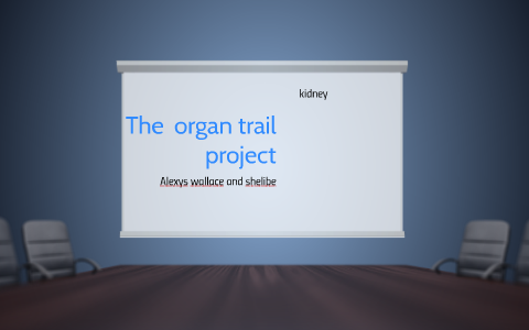 kidney organ trail project by Adriana Elizondo on Prezi