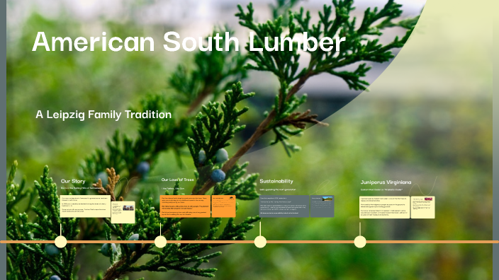 American South Lumber by Steven Leipzig on Prezi