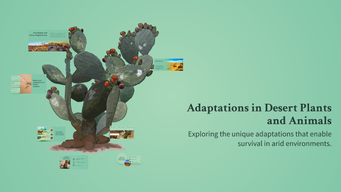 Adaptations in Desert Plants and Animals by Noushin Marium on Prezi
