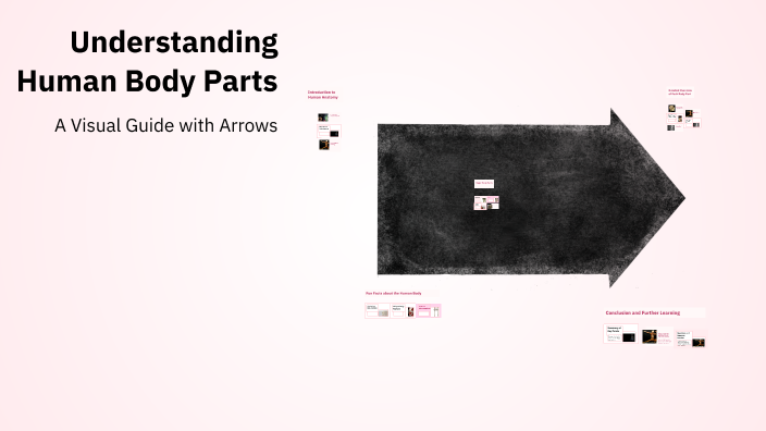 Understanding Human Body Parts by ida on Prezi
