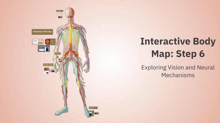 Interactive Body Map: Step 6 by Luca Makarigakis on Prezi