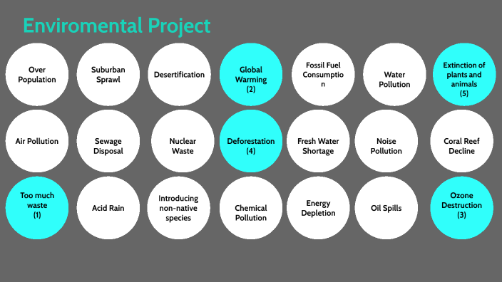 Enviromental Project by I T on Prezi
