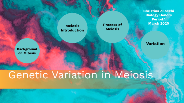Genetic Variation in Meiosis by Christina Zilocchi on Prezi