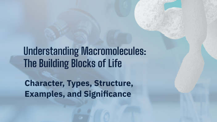 Understanding Macromolecules: The Building Blocks of Life by Ashritha Malyala on Prezi