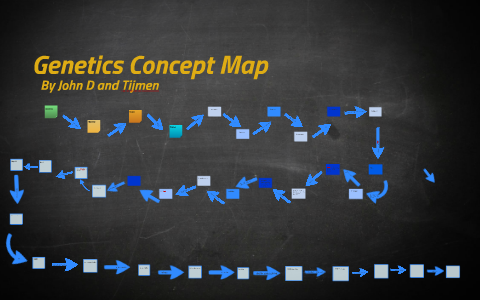 Genetics Concept Map by Tijmen Schreur on Prezi