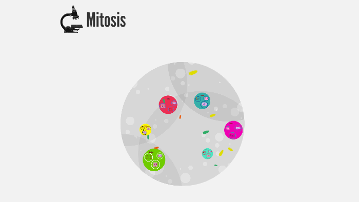 Mitosis by Adrian Avitia on Prezi