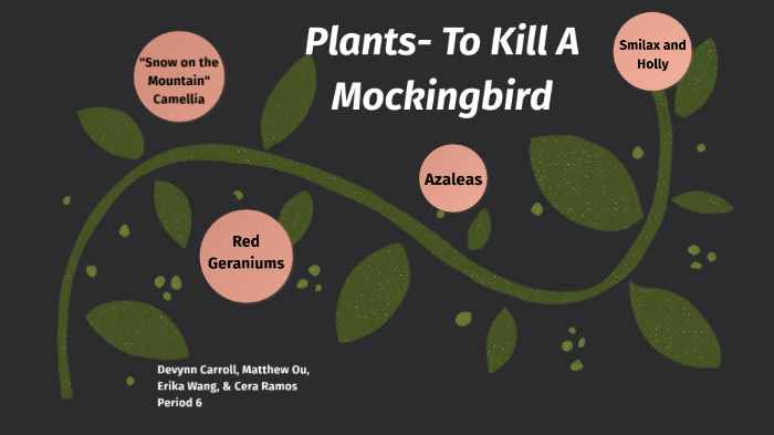 Plants- To Kill a Mockingbird by Matthew Ou on Prezi