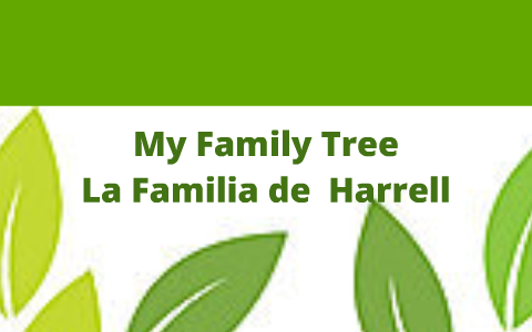 Family Tree by Collin Harrell