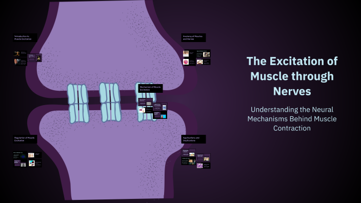 The Excitation of Muscle through Nerves by Omar Ibrahim on Prezi