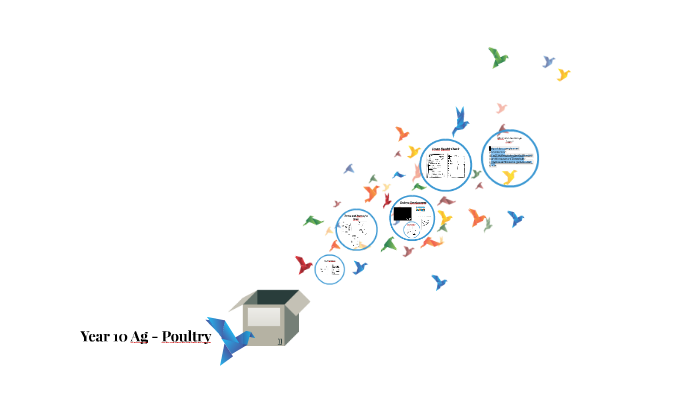 Year 10 Ag - Poultry by Luke Cleaver on Prezi