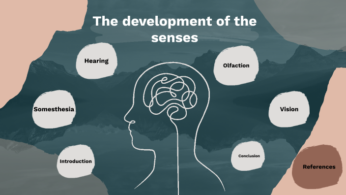 The development of the senses by Capucine CHATEL on Prezi