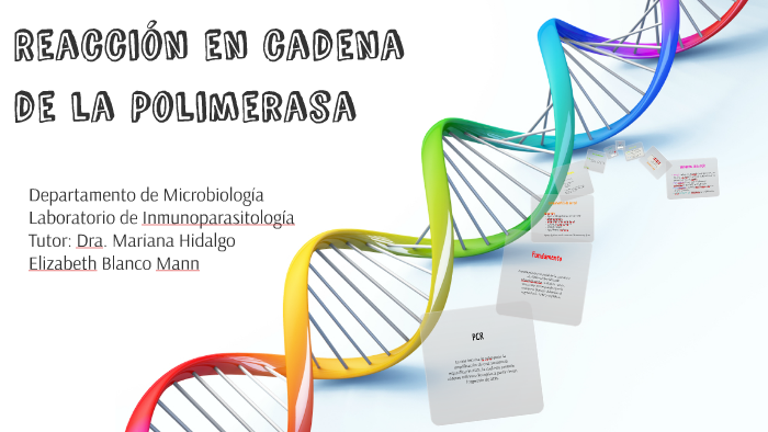 Reacción en cadena de la Polimerasa by Elizabeth Blanco Mann on Prezi