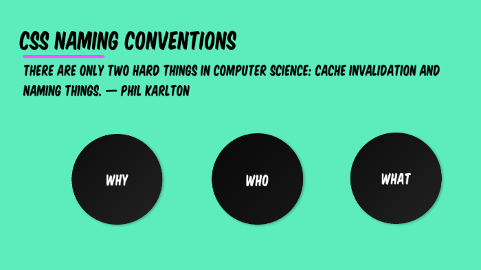CSS naming conventions by Sasha Diachenko on Prezi