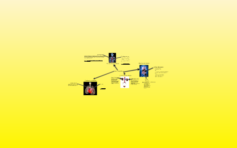 Bremer human Body Diseases by Heather Boevers on Prezi