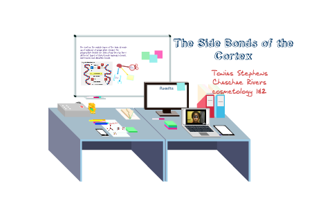 The Side Bonds of the Cortex by Tonia Stephens on Prezi