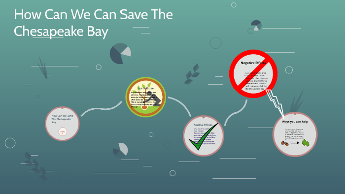 How Can We Can Save The Chesapeake Bay by Yoo-Bin Kwon on Prezi
