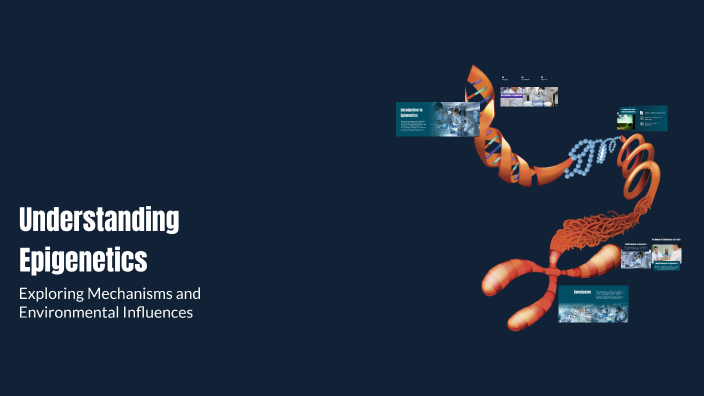 Understanding Epigenetics by Bridget on Prezi
