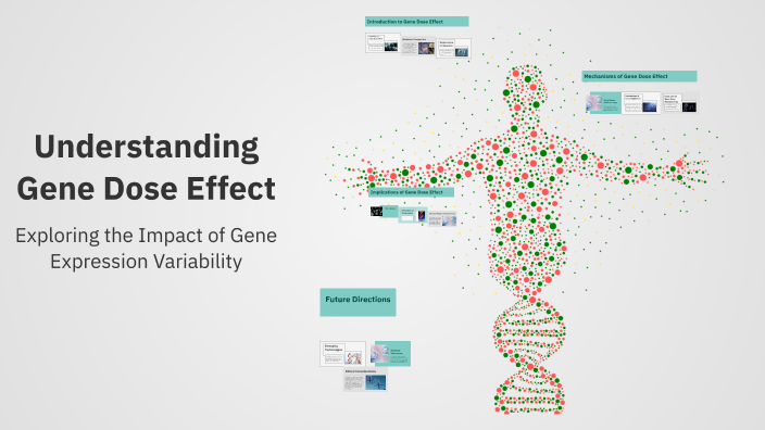Understanding Gene Dose Effect by Oskar Oskar on Prezi