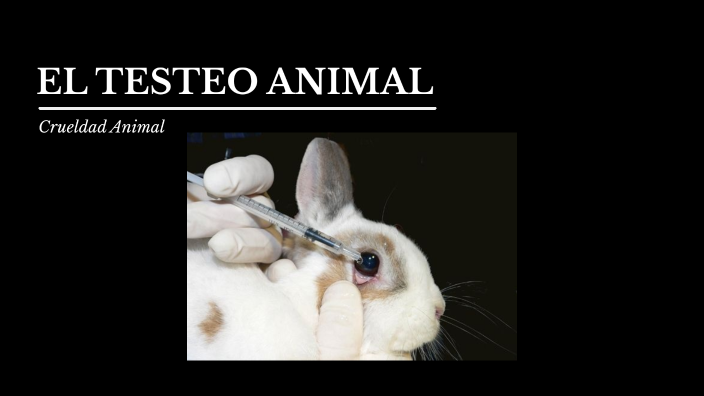 El Testeo Animal by karen 123 on Prezi