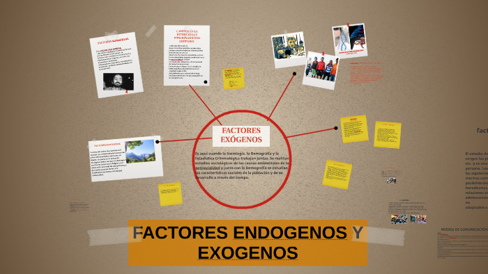 FACTORES ENDOGENOS Y EXOGENOS by getzarel hernandez on Prezi