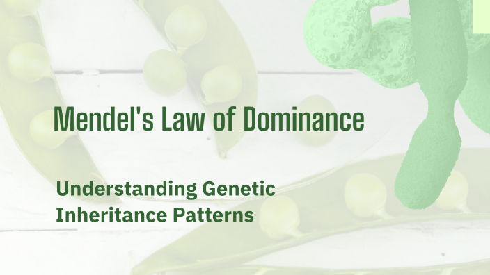 Mendel's Law of Dominance by 과학 ᆞ on Prezi