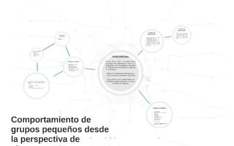Comportamiento de grupos pequeños desde la perspectiva de si by ...
