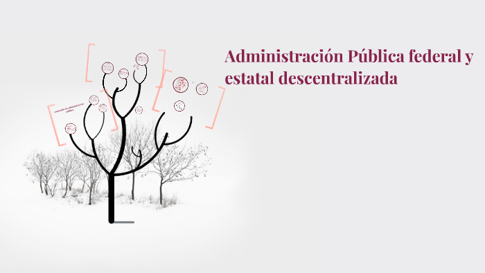 Administración pública descentralizada by Veronica Lopez Ruiz on Prezi