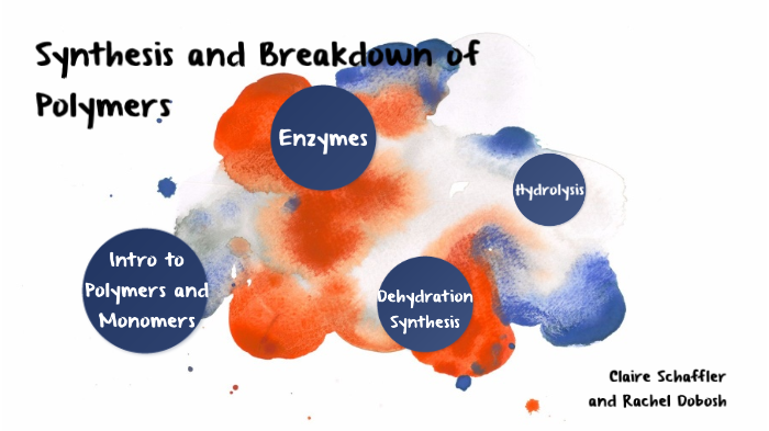 Synthesis and Breakdown of Polymers by Rachel Dobosh on Prezi