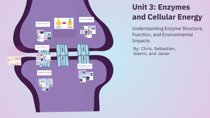 Chapter 3: Enzymes and Cellular Energy by Christopher Hernandez on Prezi