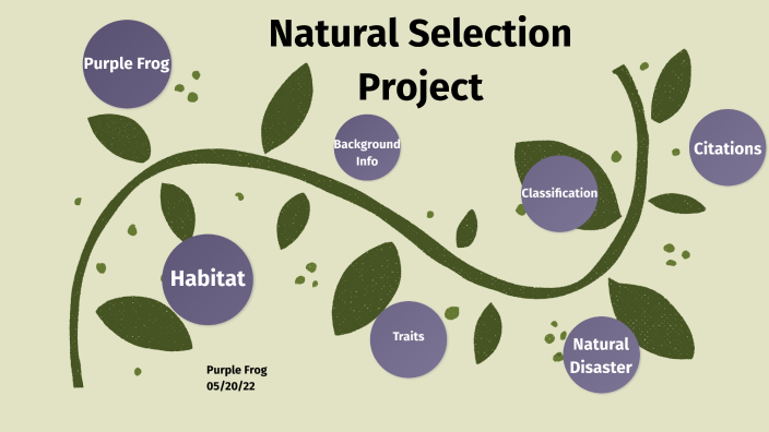 Natural Selection Project by Joleah Stuhr on Prezi