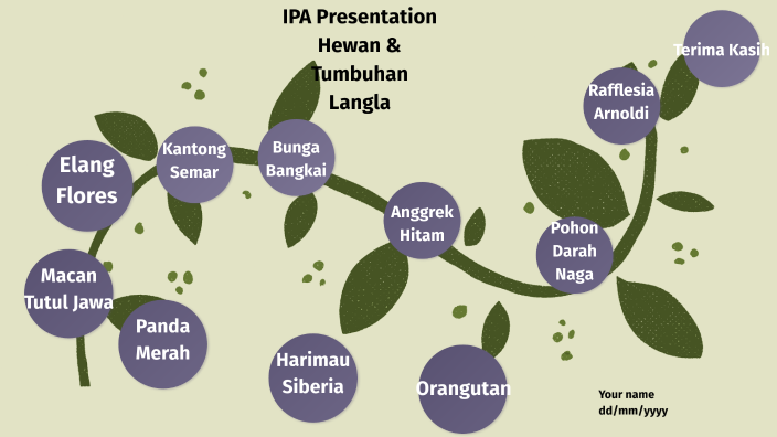 Ipa Project By Mikha Gunawan On Prezi