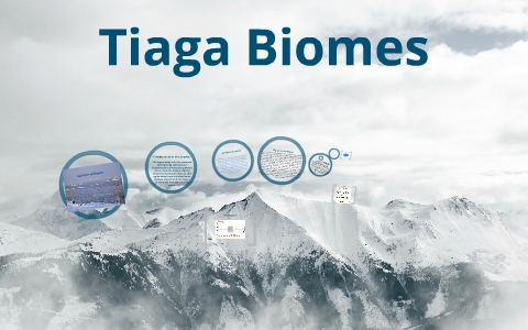 Tiaga Biomes by Anike Ashaka on Prezi