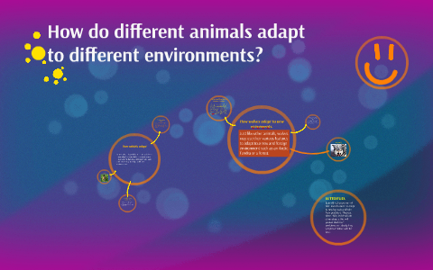 How do different animals adapt to different environments by aesha patel ...