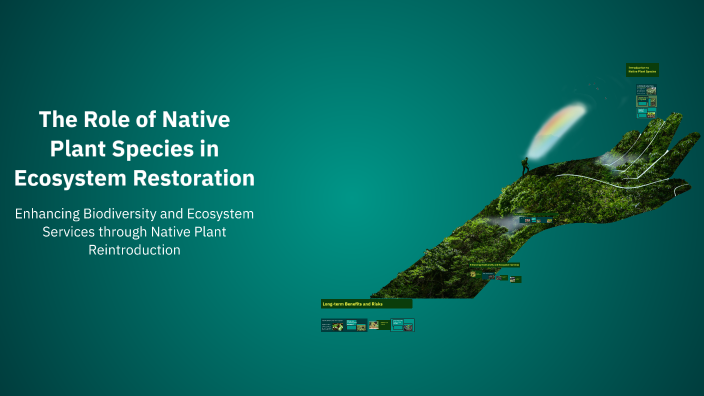 The Role of Native Plant Species in Ecosystem Restoration by Kihun ...