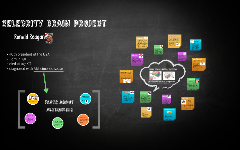 Celebrity Brain project by Claudia Cox on Prezi