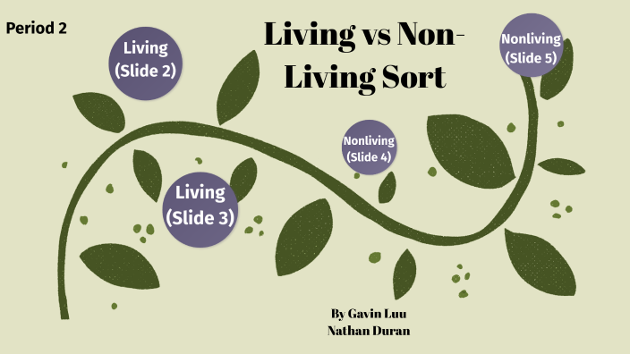 Living Vs Non Living Sort - Gavin Luu, Nathan Duran by Gavin Luu on Prezi