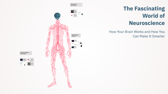 The Fascinating World of Neuroscience by aLEX tOVMASYAN on Prezi