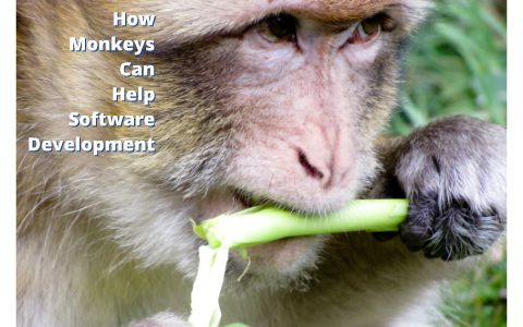 How Monkeys Can Help Software Development by Paul Shannon on Prezi