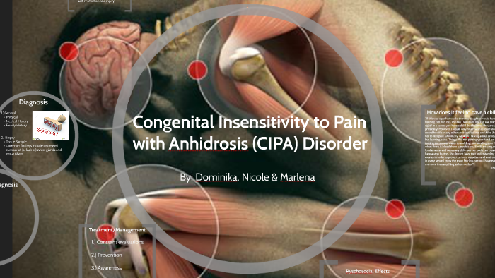 Congenital Insensitivity To Pain With Anhidrosis CIPA Diso By Marlena
