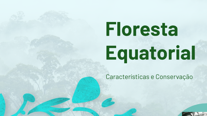 Floresta Equatorial by heloisa leonotti on Prezi