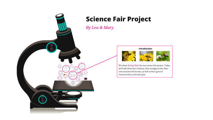 Arthropods Project by mary hosseini on Prezi